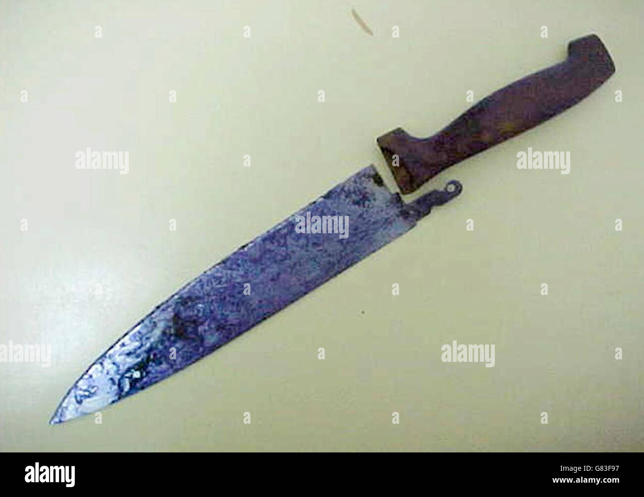 The knife used by Mark Hobson to murder pensioner Joan Britton ...