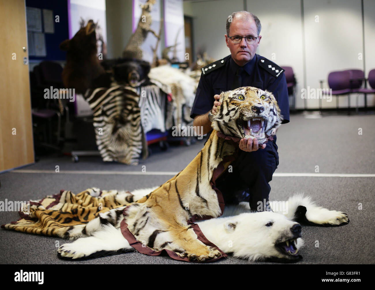 This house is an endangered species hi-res stock photography and images ...