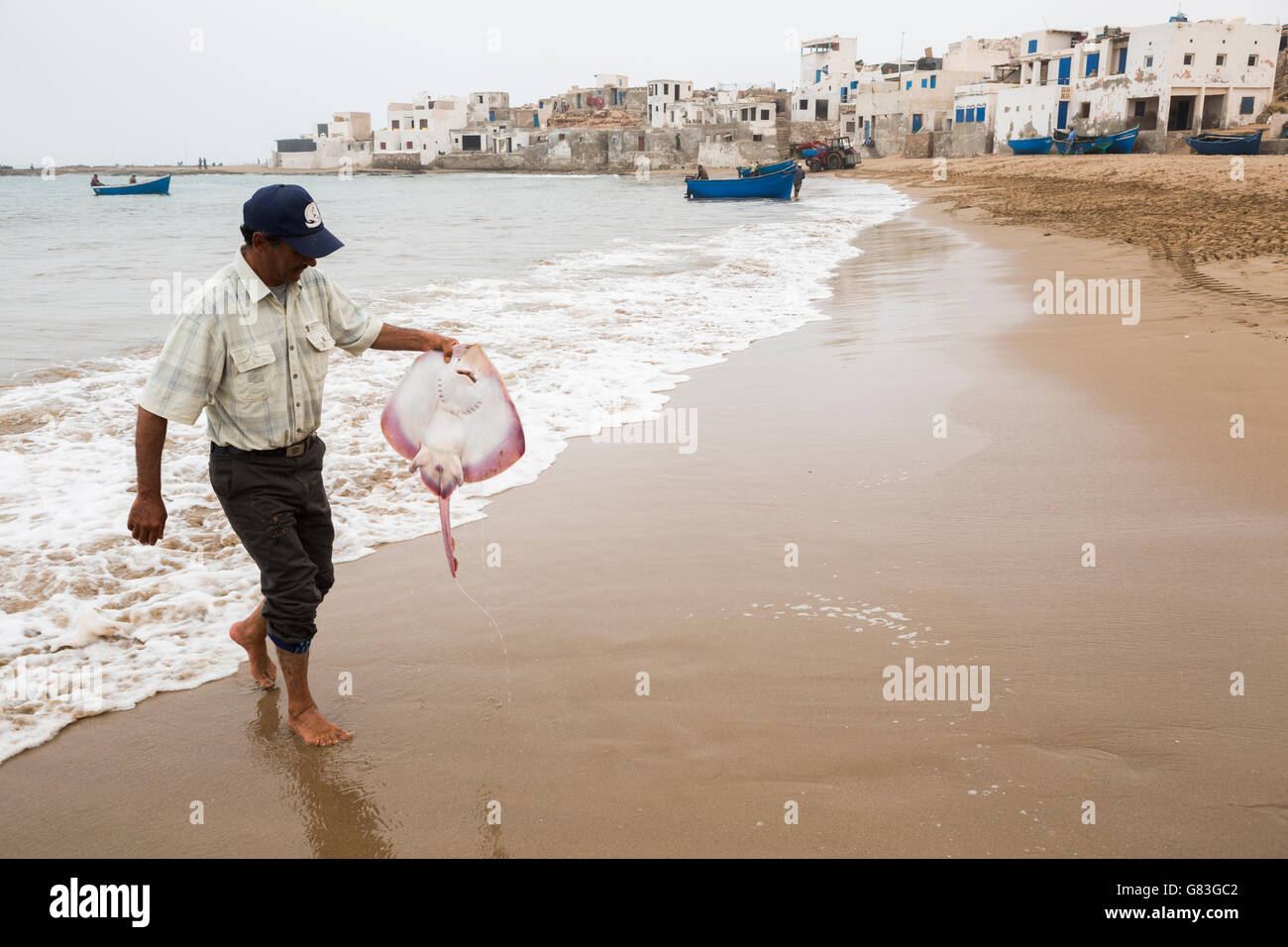 A fisherman brings his fresh catch ashore at Tifnit beach, near Agadir ...