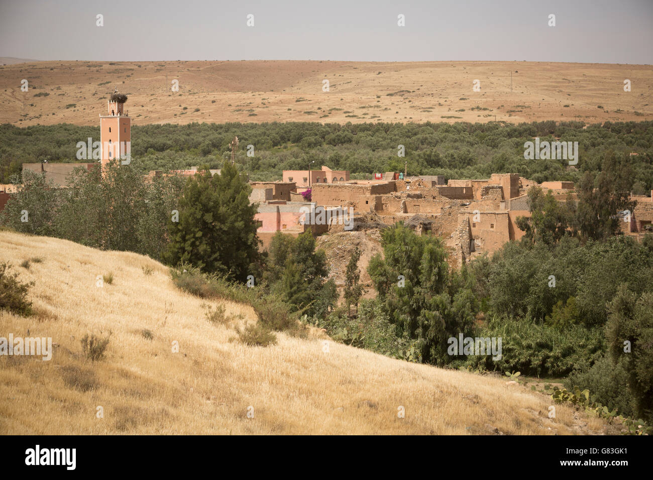 Mosque of the olive tree mosque hi-res stock photography and images - Alamy