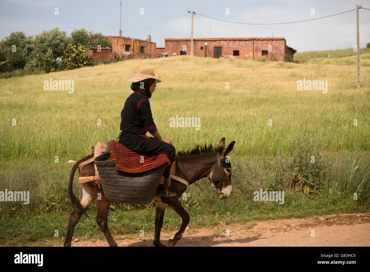 Woman riding donkey hi-res stock photography and images - Alamy