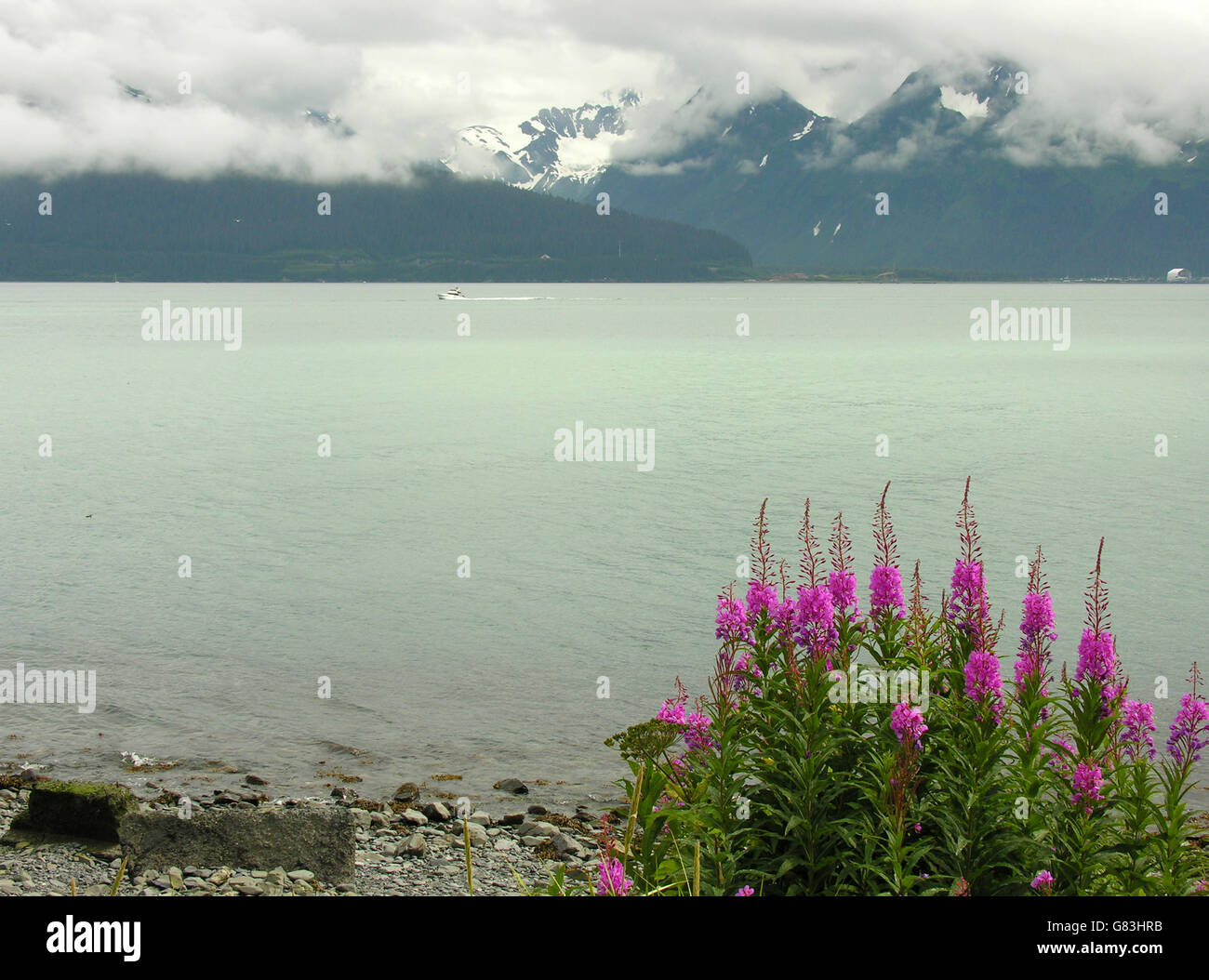 Kenai peninsula borough alaska hi-res stock photography and images - Alamy