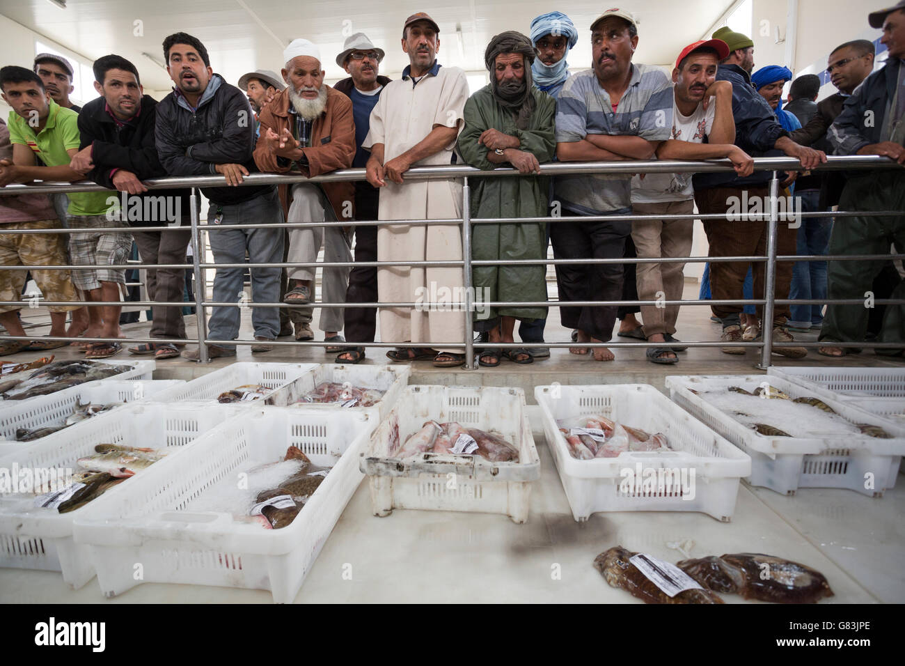 Fish market agadir morocco hi-res stock photography and images - Alamy