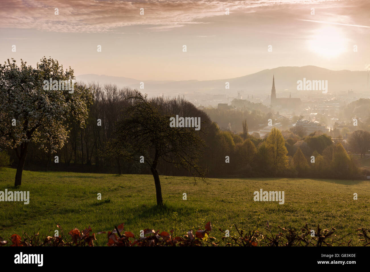 Linz austria old cathedral hi-res stock photography and images - Alamy