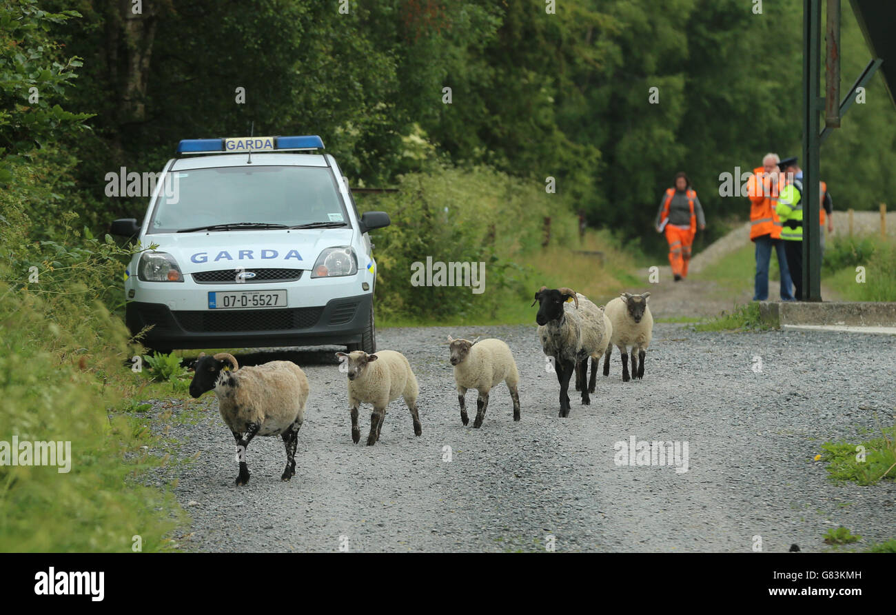 Joe Lynskey search Stock Photo - Alamy