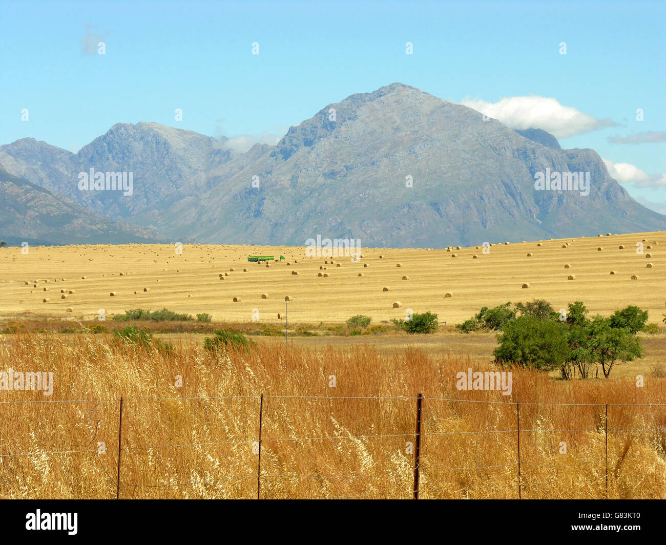 Swartland, South Africa Stock Photo - Alamy