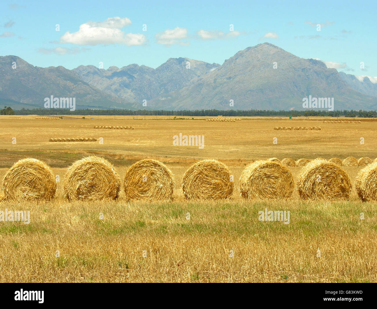 Swartland, South Africa Stock Photo - Alamy