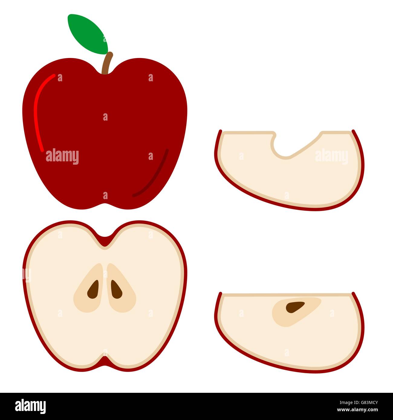 Apple fruit and apple slices vector illustration Stock Vector Image ...