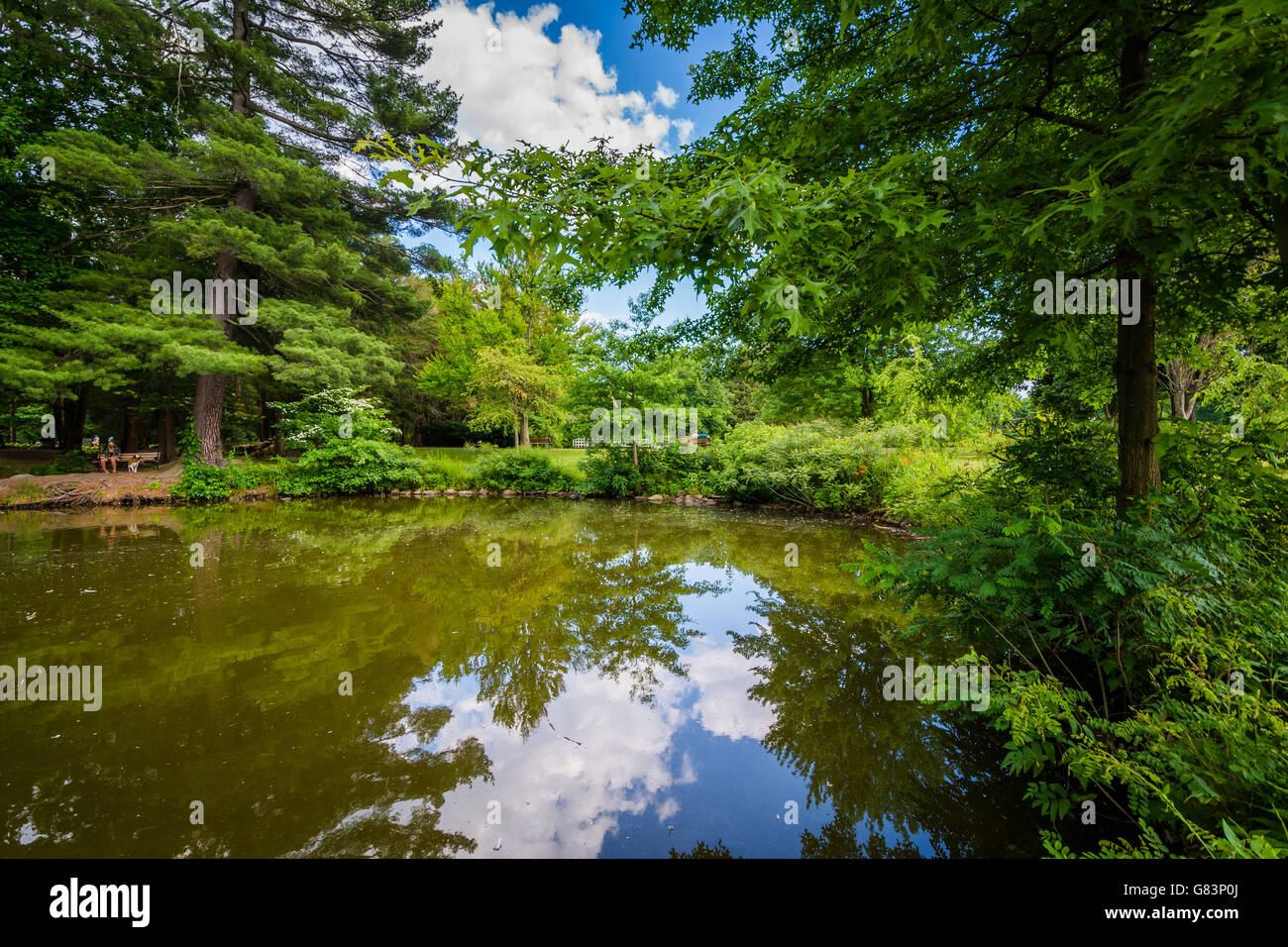 Pond at Elizabeth Park, in Hartford, Connecticut Stock Photo - Alamy