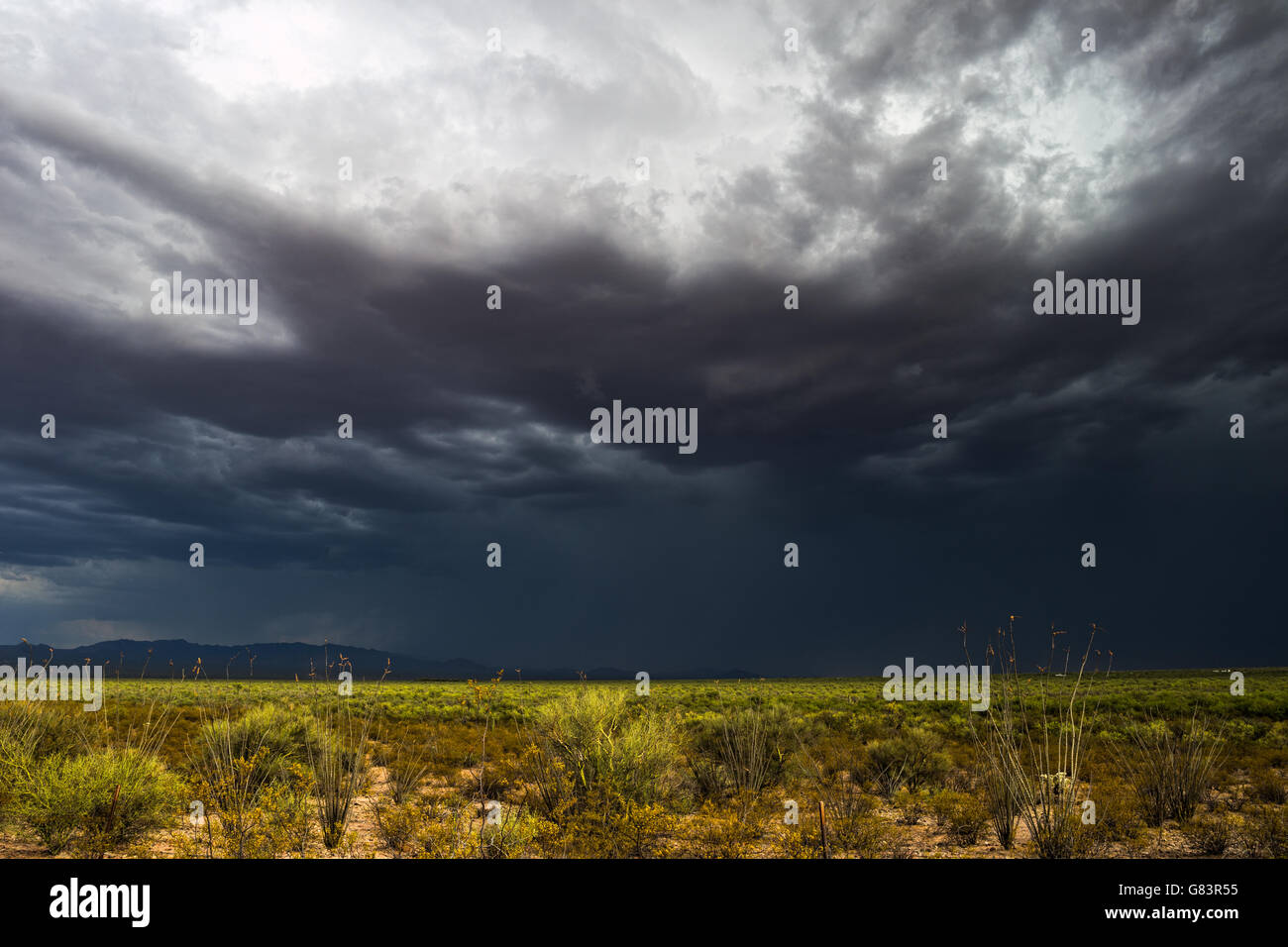 Powerful monsoon storm with dark clouds in the Sonoran Desert near Kitt ...