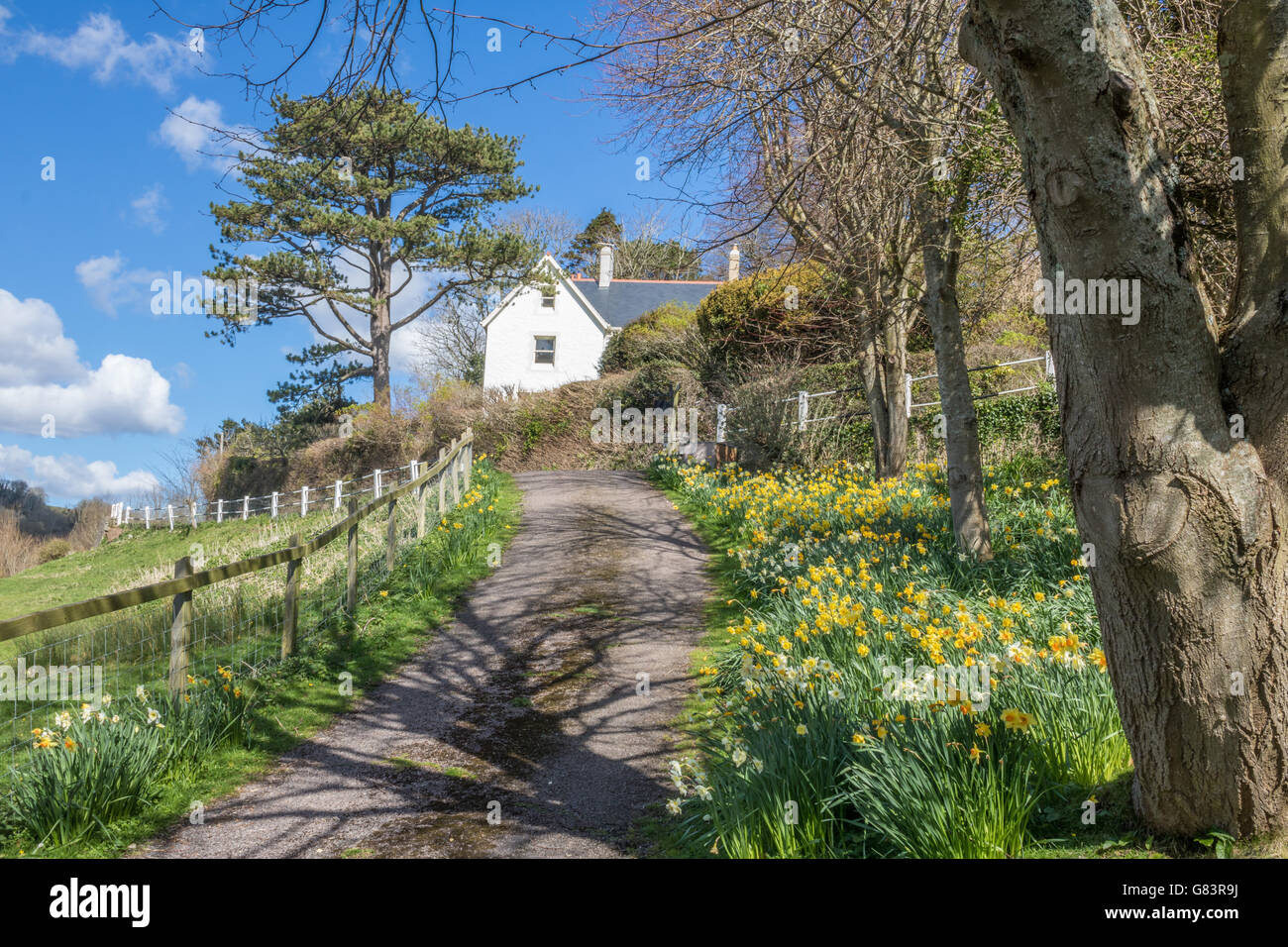 England Devon Branscombe Beautiful spring scene in this picturesque ...