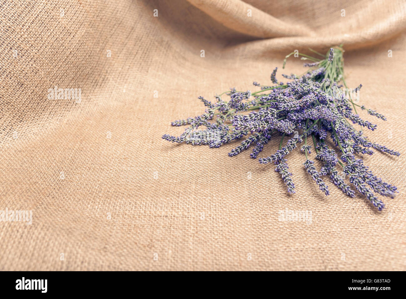 Placing boards hi-res stock photography and images - Alamy