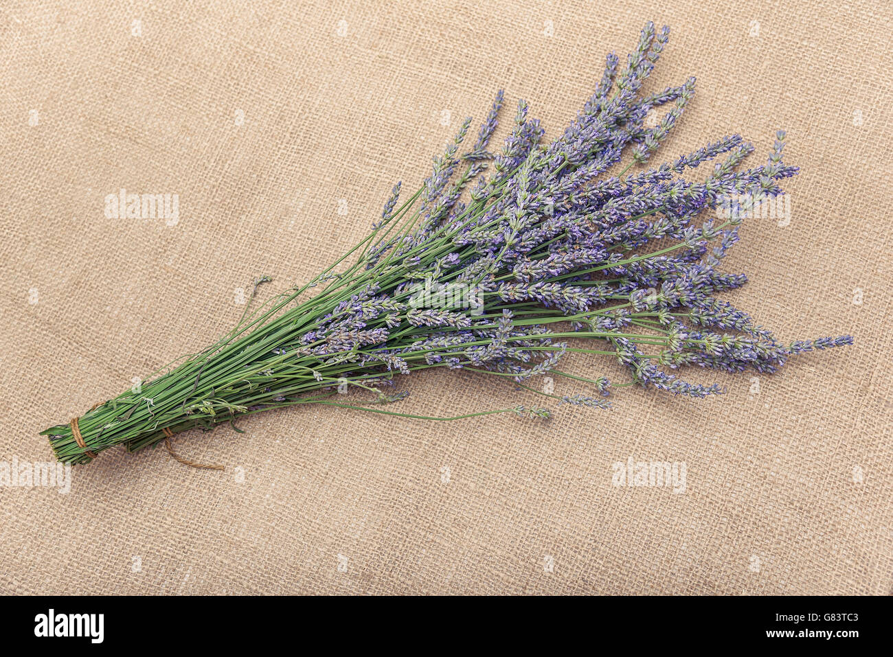 Bouquet of lavender on sacking. Place for placing of your text Stock ...