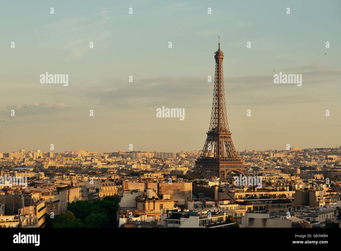 Paris rooftop view skyline and Eiffel Tower in France Stock Photo - Alamy
