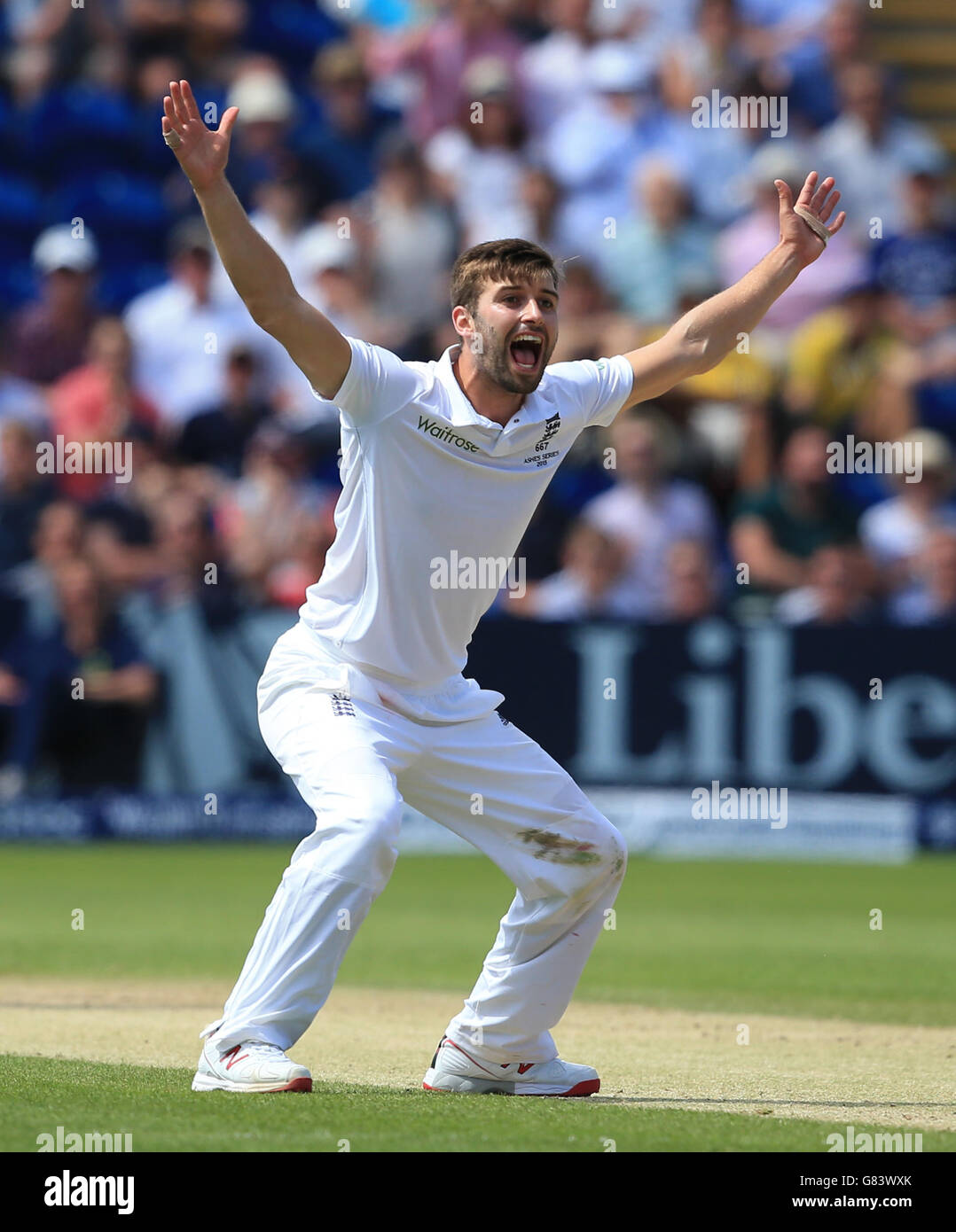 England bowler Mark Wood celebrates as he traps Australia batsman ...