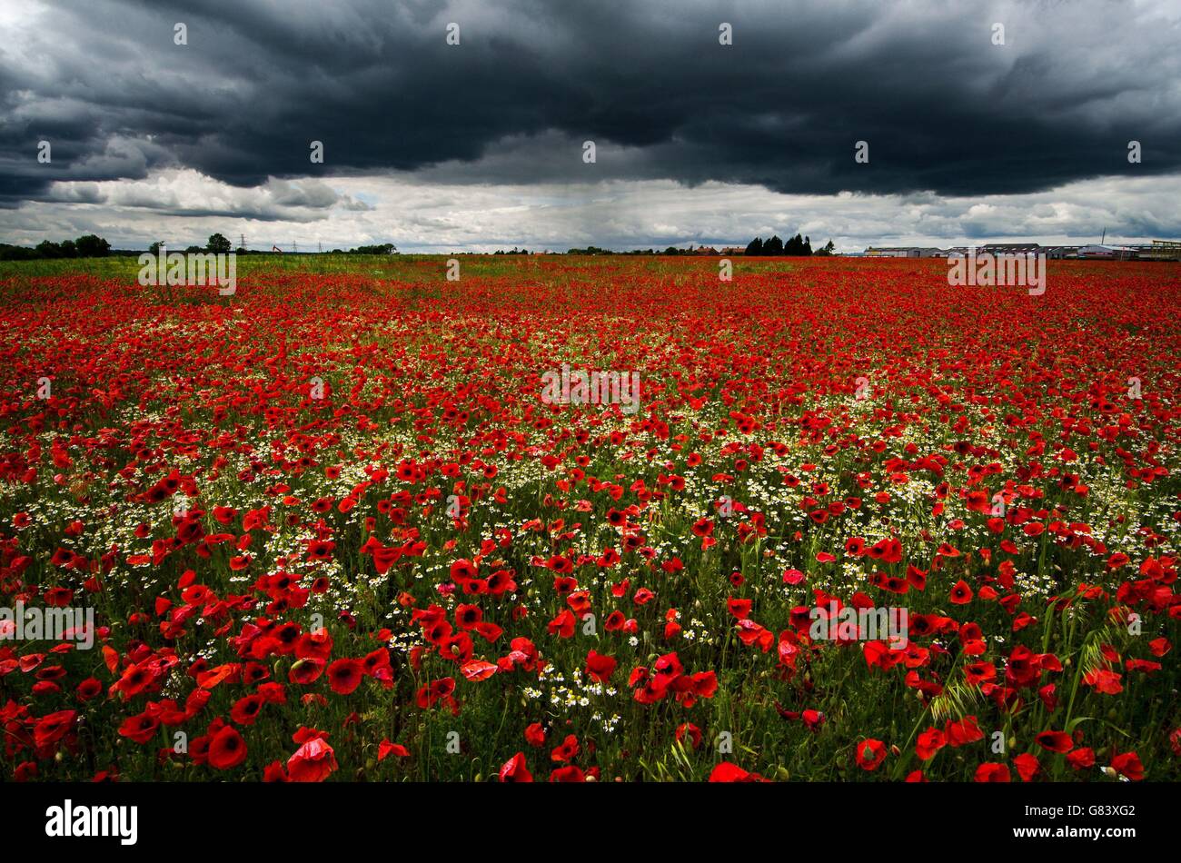 Weather june hi-res stock photography and images - Alamy