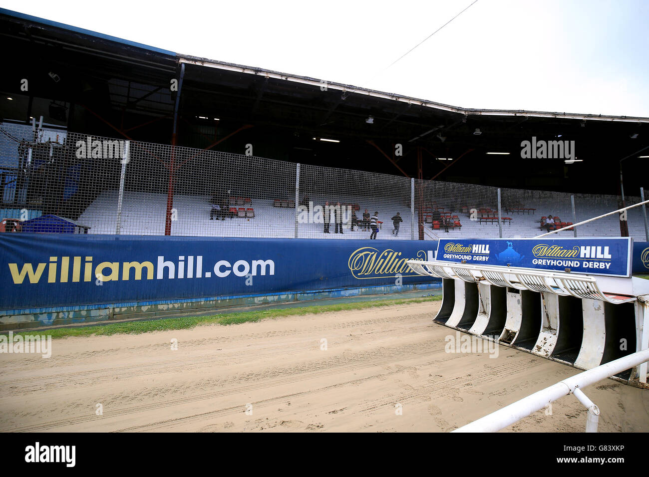 Greyhound Racing - William Hill Derby - Semi Finals - Wimbledon Stadium ...