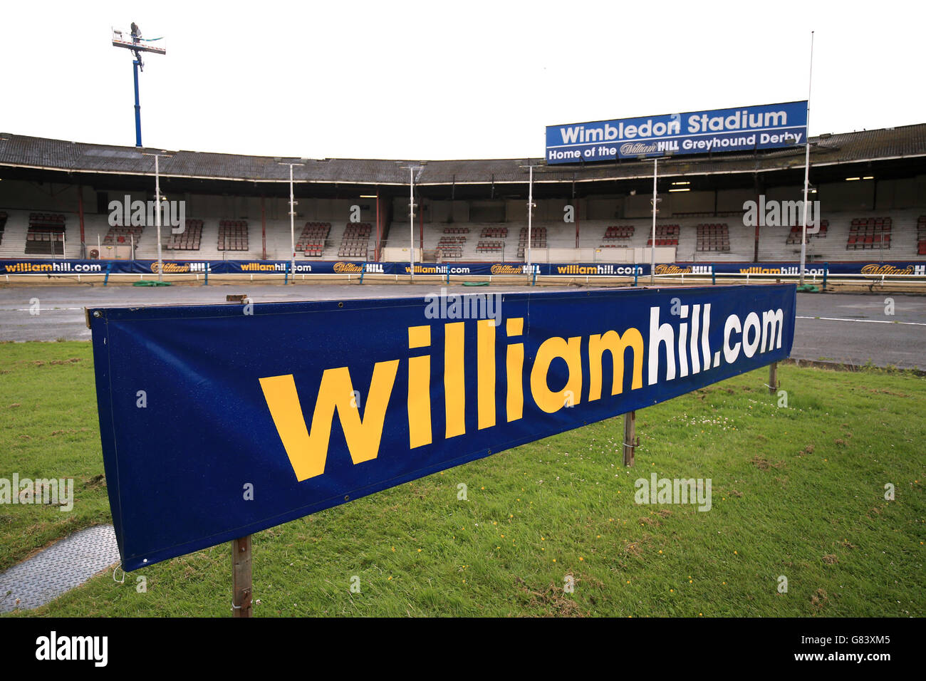 Greyhound Racing - William Hill Derby - Semi Finals - Wimbledon Stadium ...