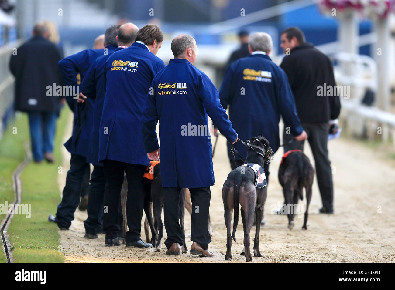 Greyhound Racing - William Hill Derby - Semi Finals - Wimbledon Stadium ...
