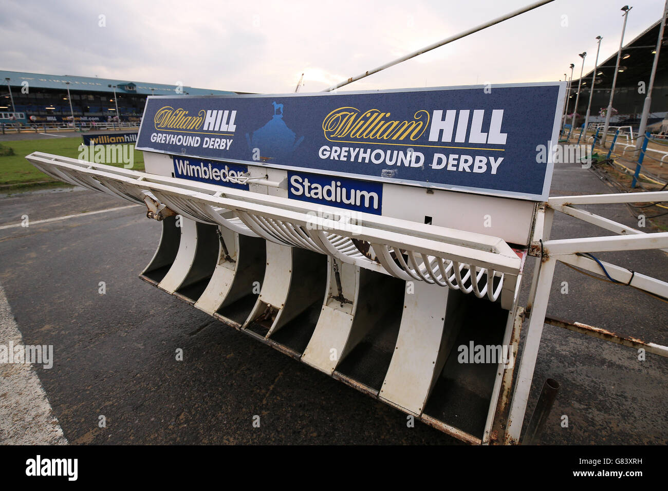 Greyhound Racing - William Hill Derby - Semi Finals - Wimbledon Stadium ...