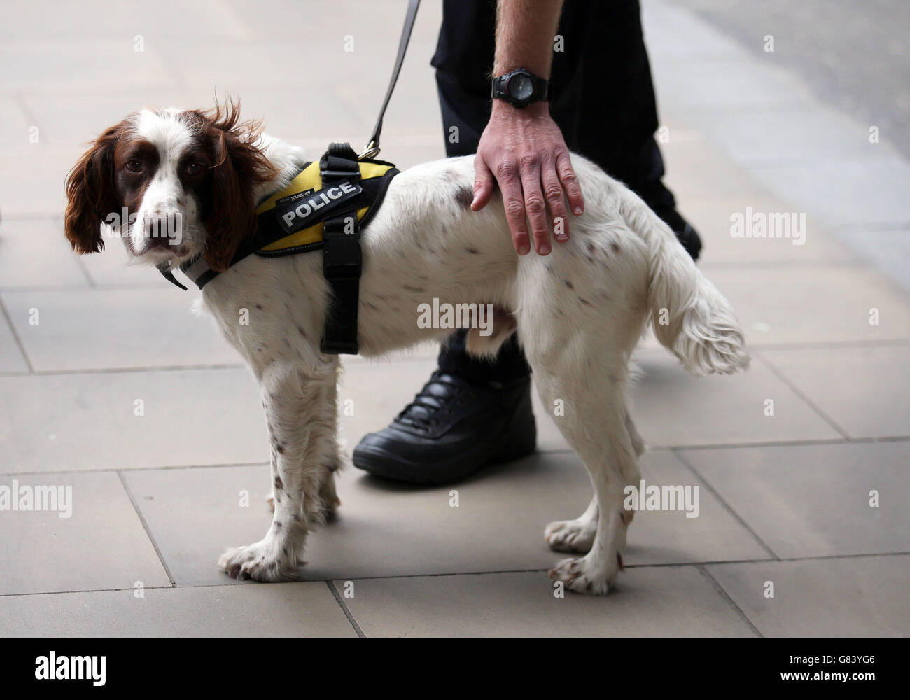 Rothesay police station hi-res stock photography and images - Alamy