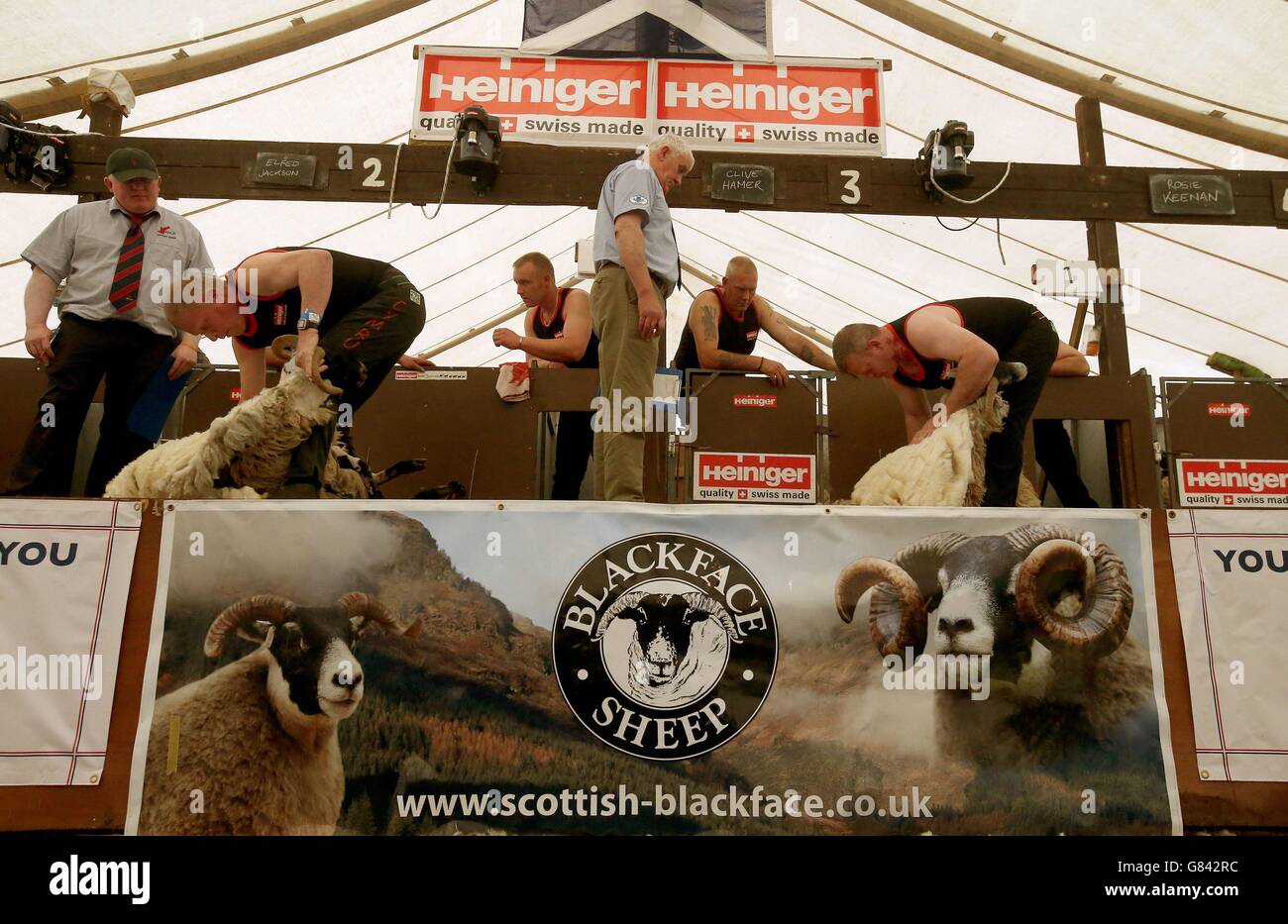 Competitors take part at the Lochearnhead Shears event in central ...