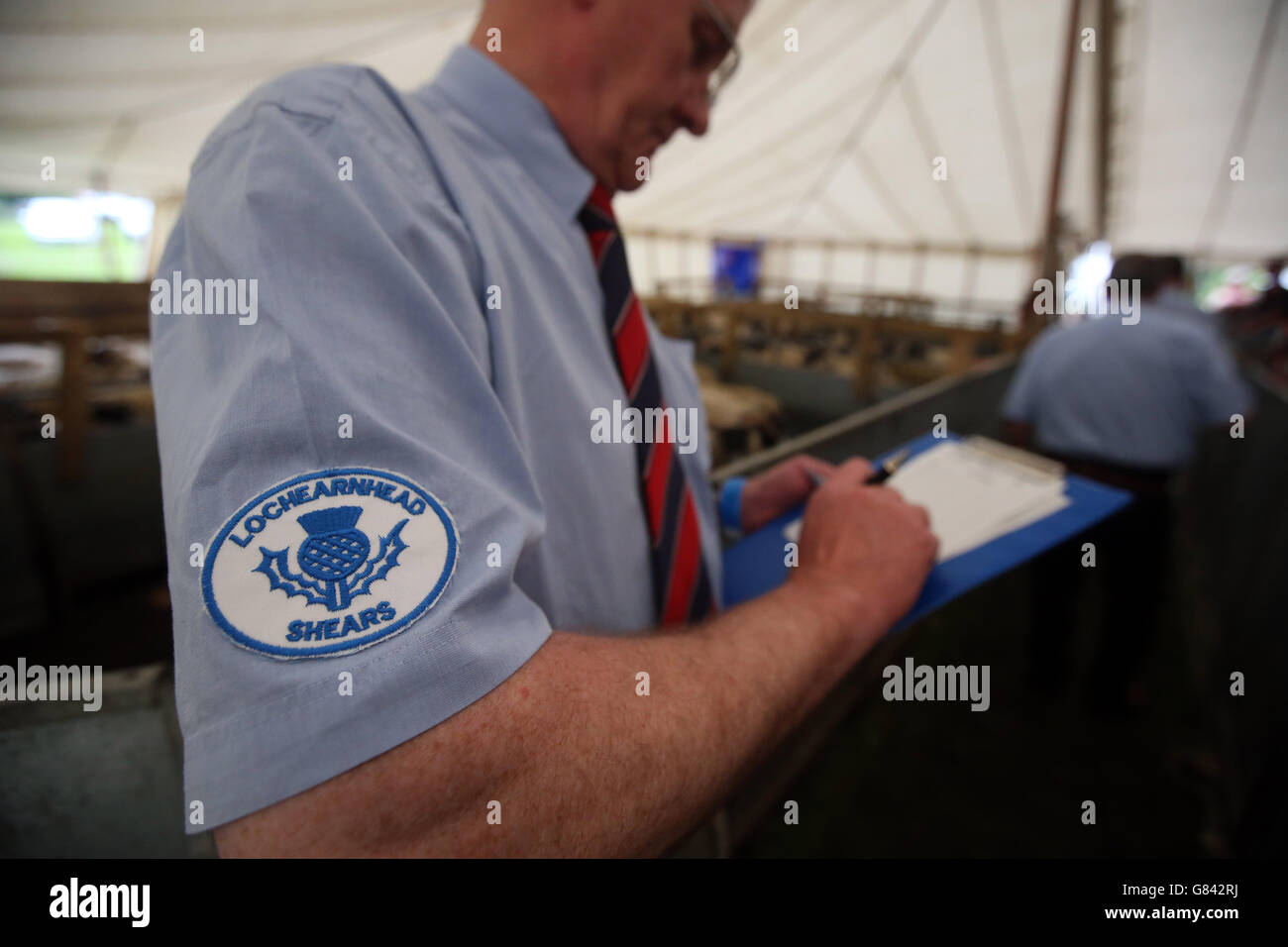 Judges check the sheep backstage after being sheared at the ...