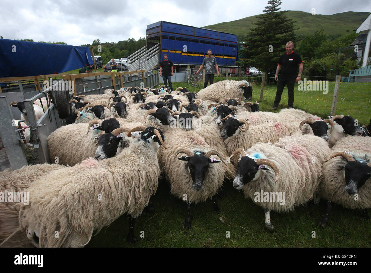 Lochearn hi-res stock photography and images - Alamy