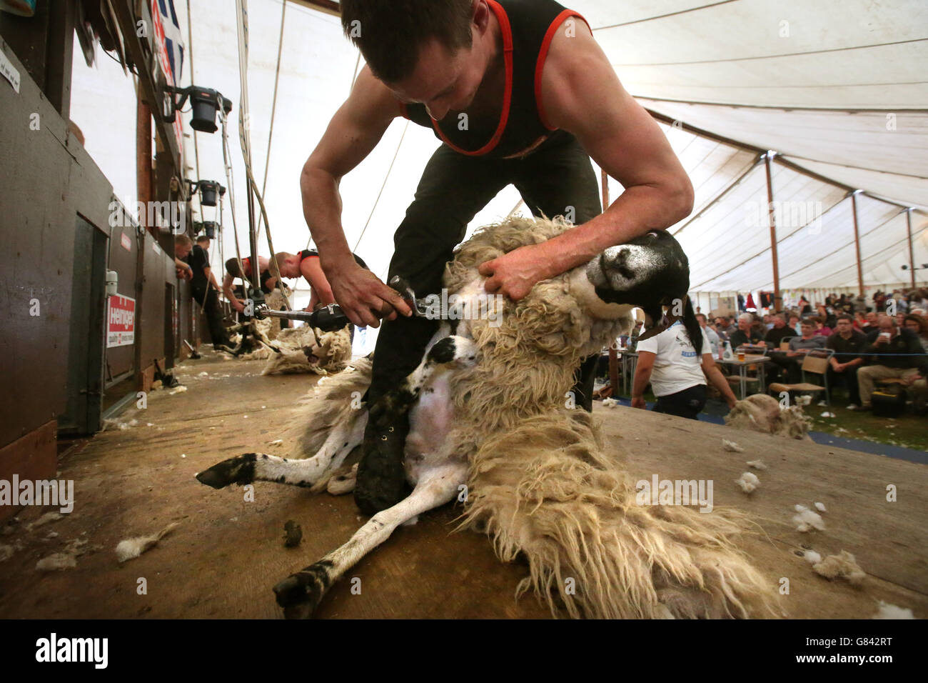 Competitors take part at the Lochearnhead Shears event in central ...