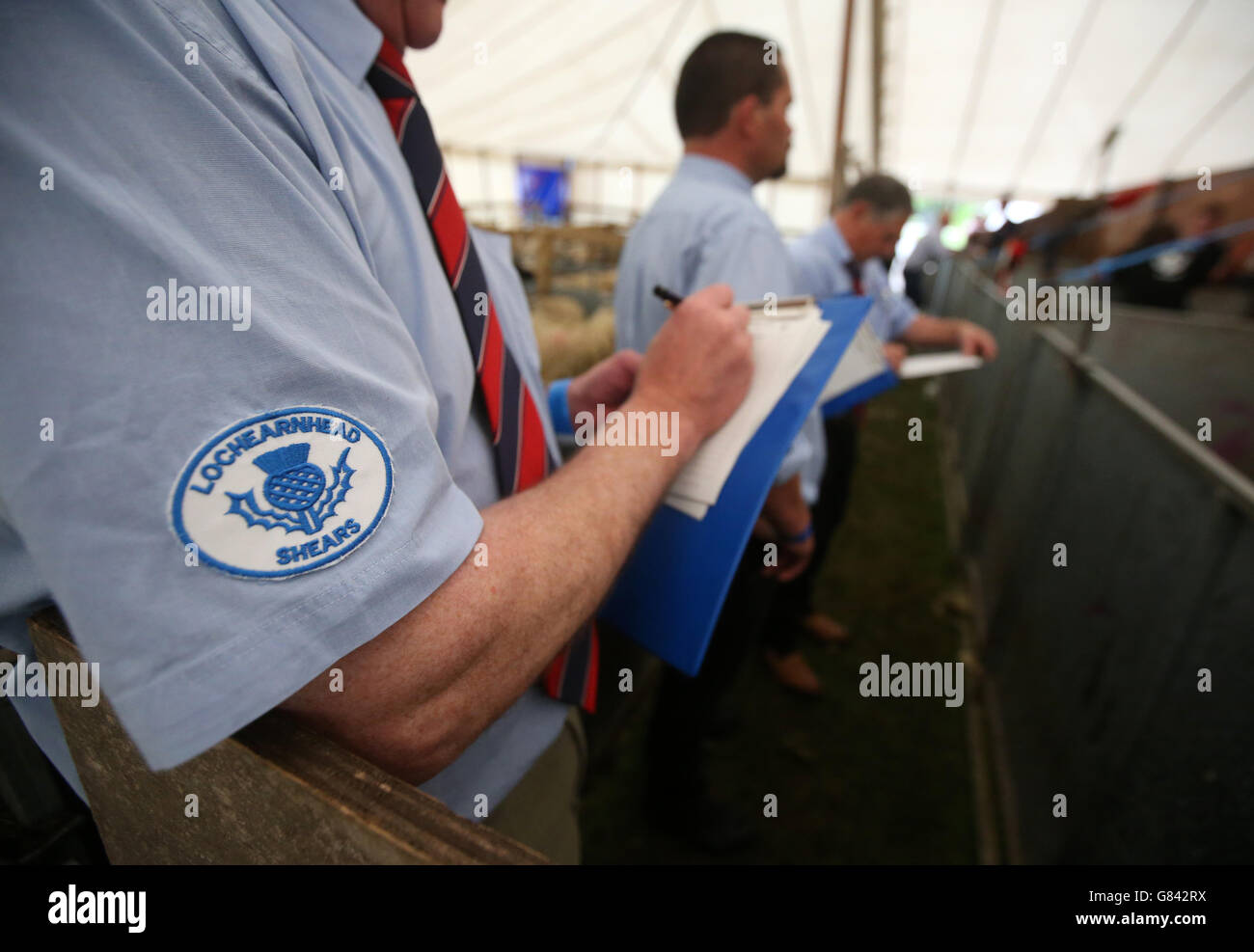 Judges check the sheep backstage after being sheared at the ...