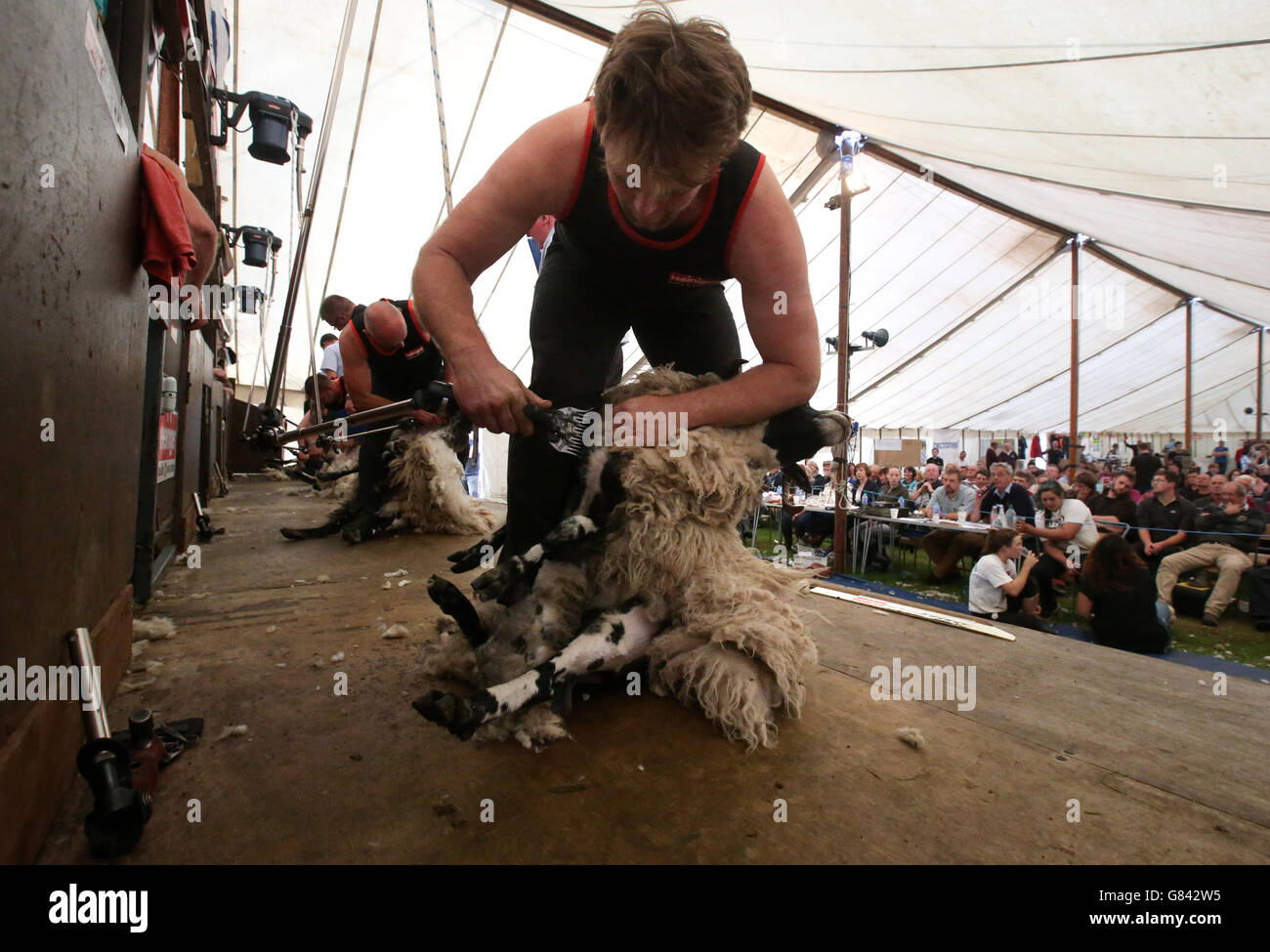 Competitors take part at the Lochearnhead Shears event in central ...