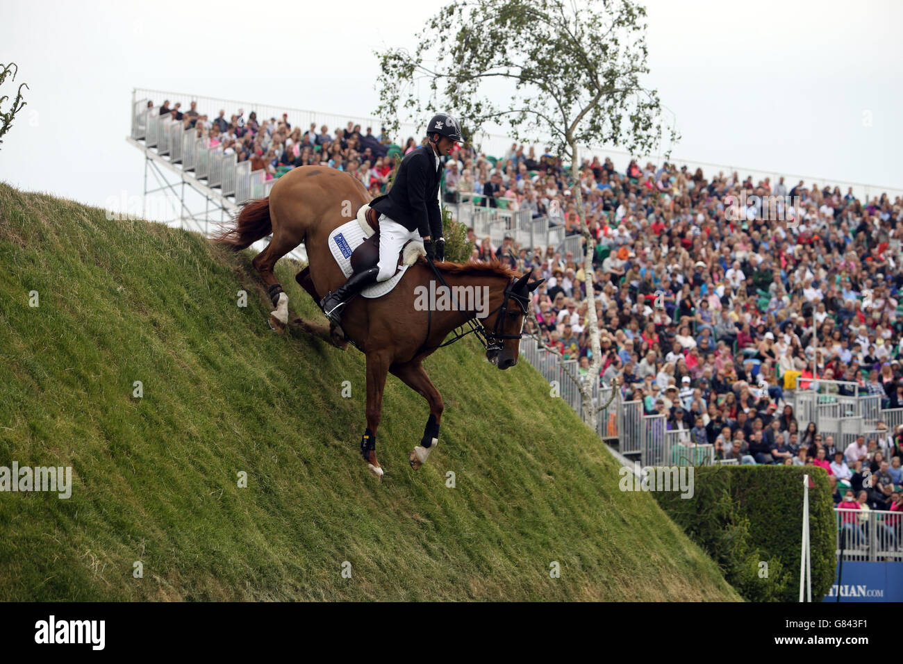 Ireland's Trevor Breen riding Loughnatousa W B wins the Equestrian.com ...