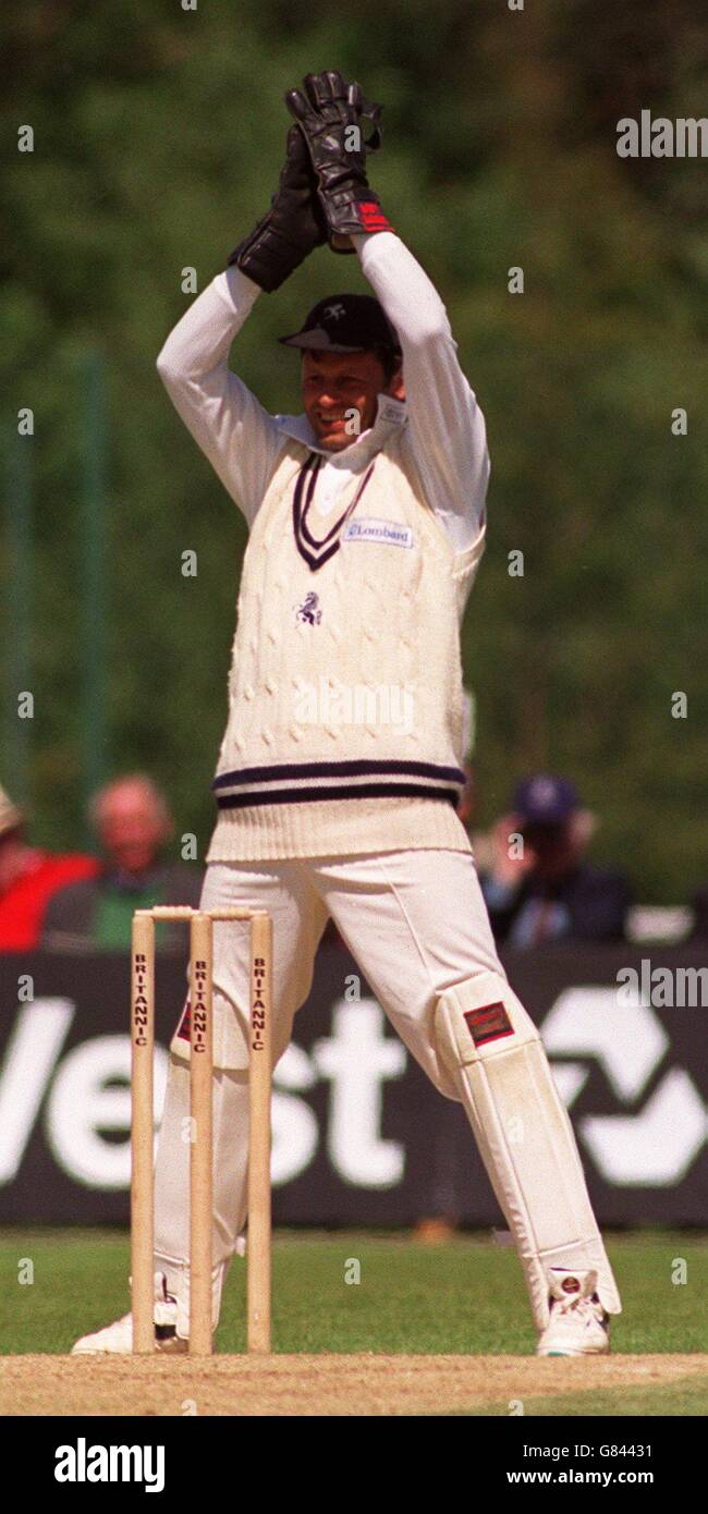 Steven marsh hi-res stock photography and images - Alamy