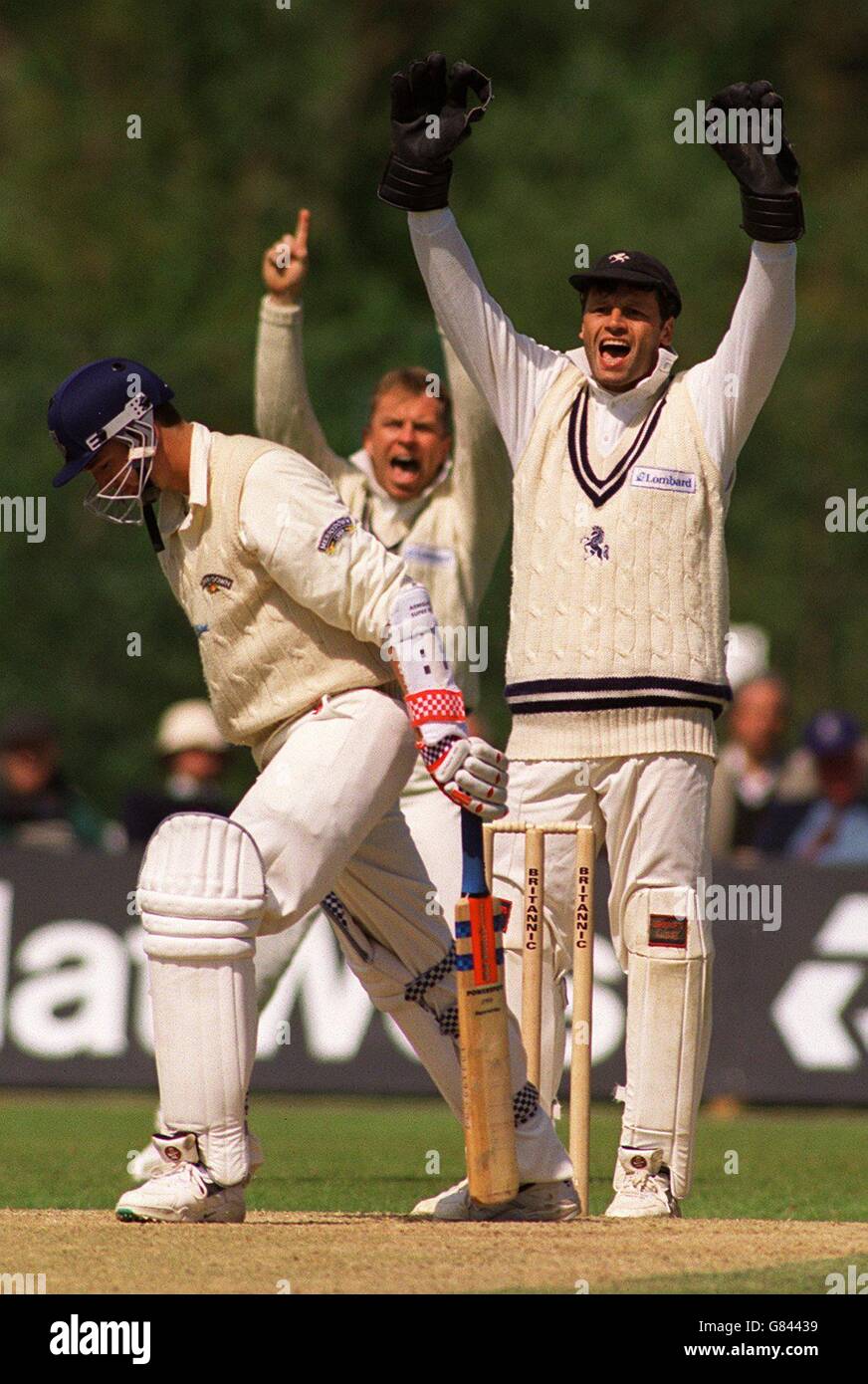 Steven marsh hi-res stock photography and images - Alamy