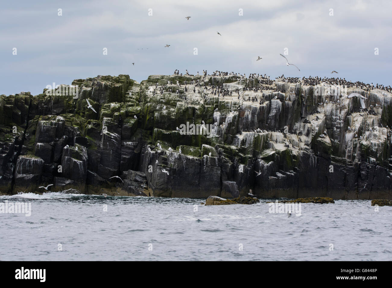 Ledges hi-res stock photography and images - Alamy