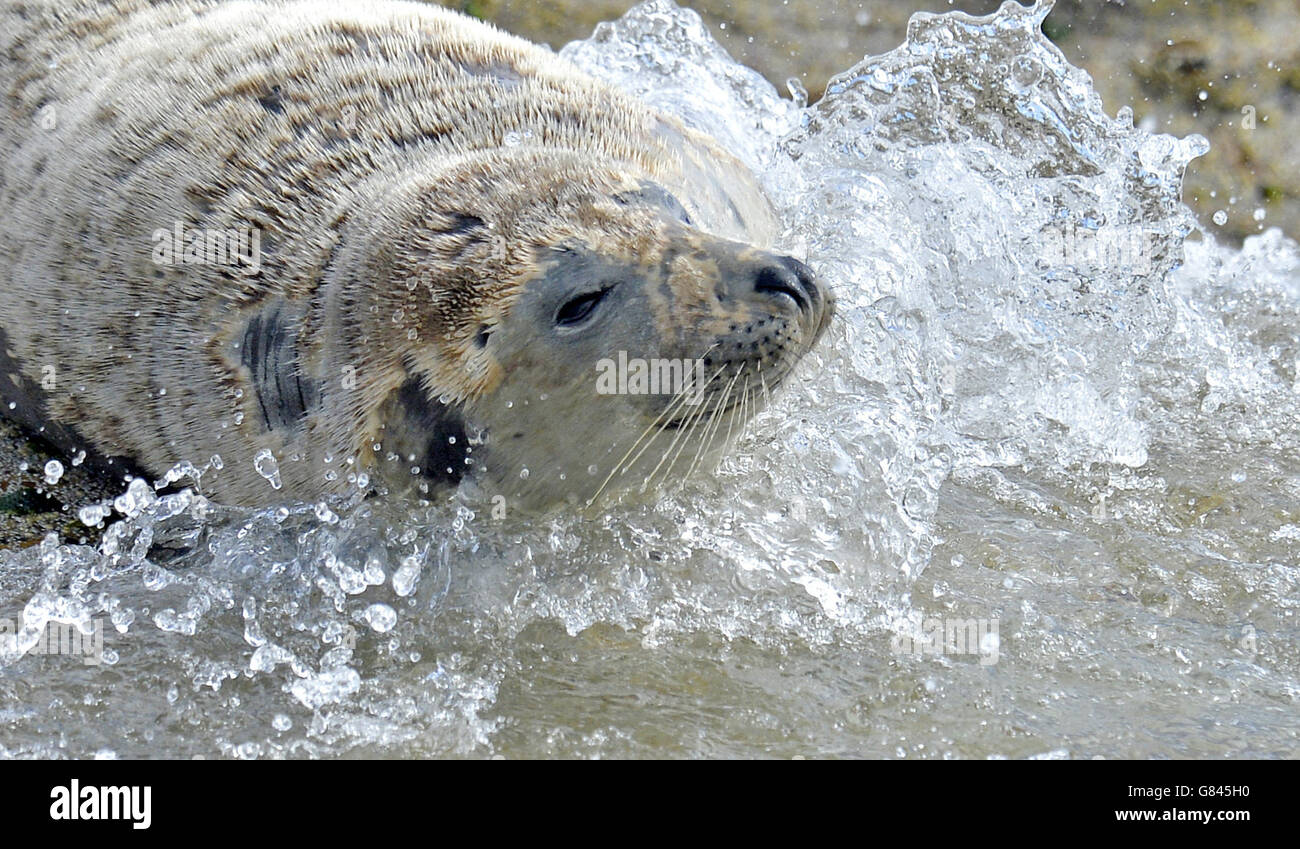 Summer weather June 30th 2015 Stock Photo - Alamy