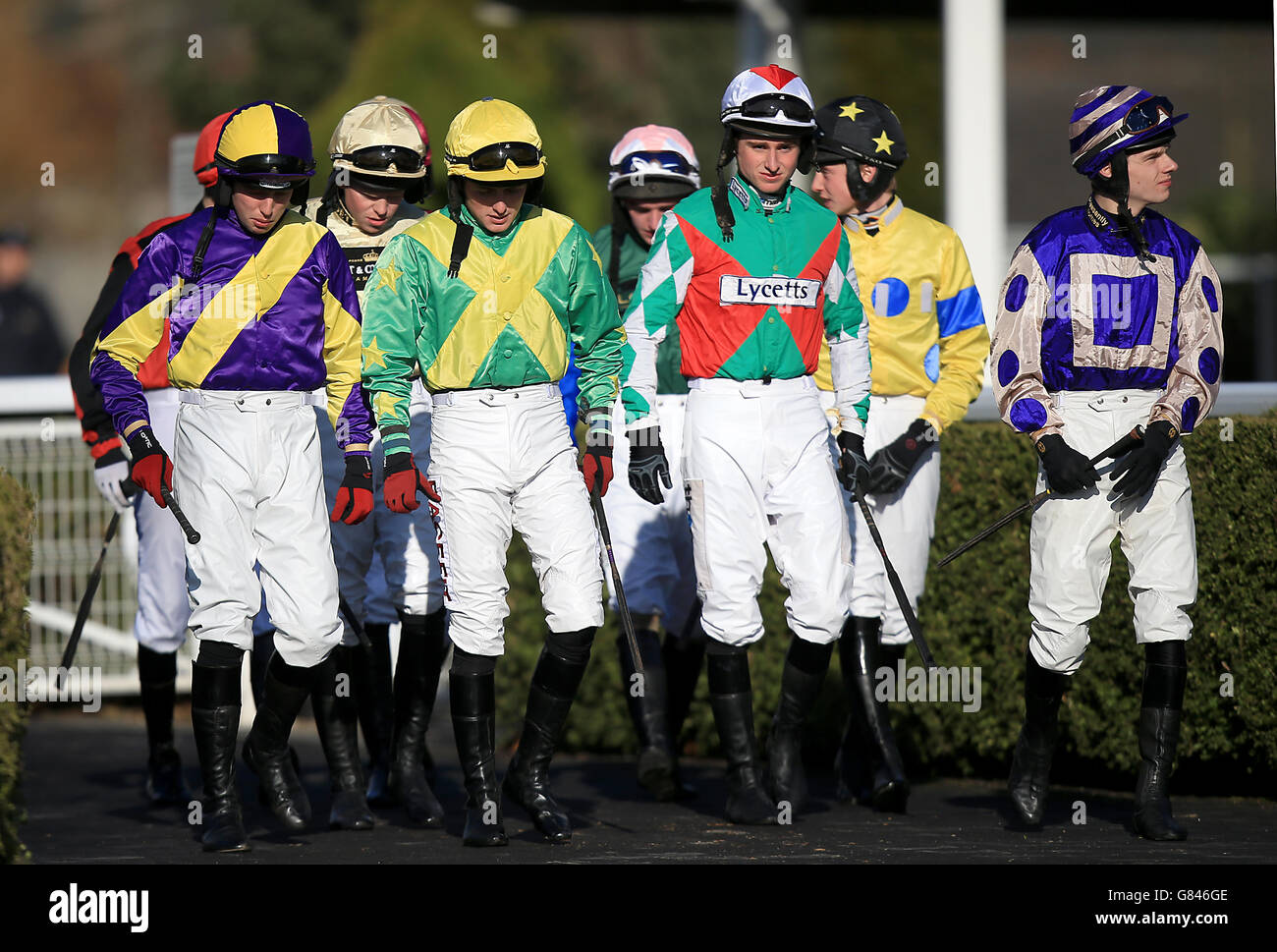 Horses go to post at kempton park hi-res stock photography and images ...