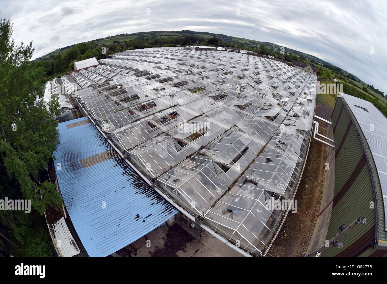 A view of some of the damaged greenhouses at Ravensworth Nurseries in ...