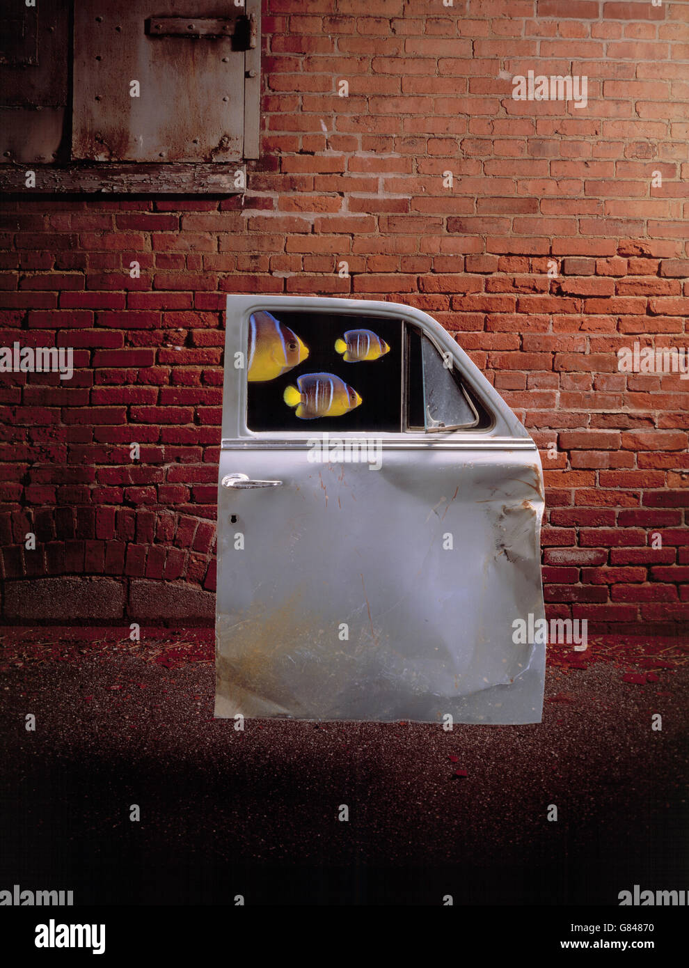 Fish lore hi-res stock photography and images - Alamy