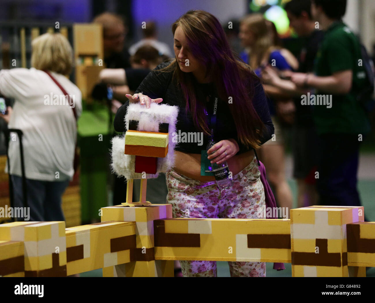 Minecraft minecon excel hi-res stock photography and images - Alamy