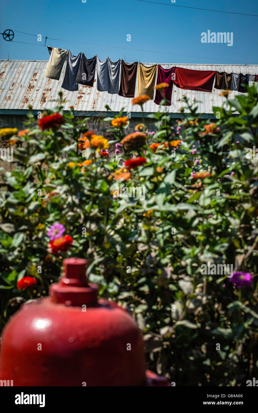 Amish countryside, Lancaster, Pennsylvania Stock Photo - Alamy