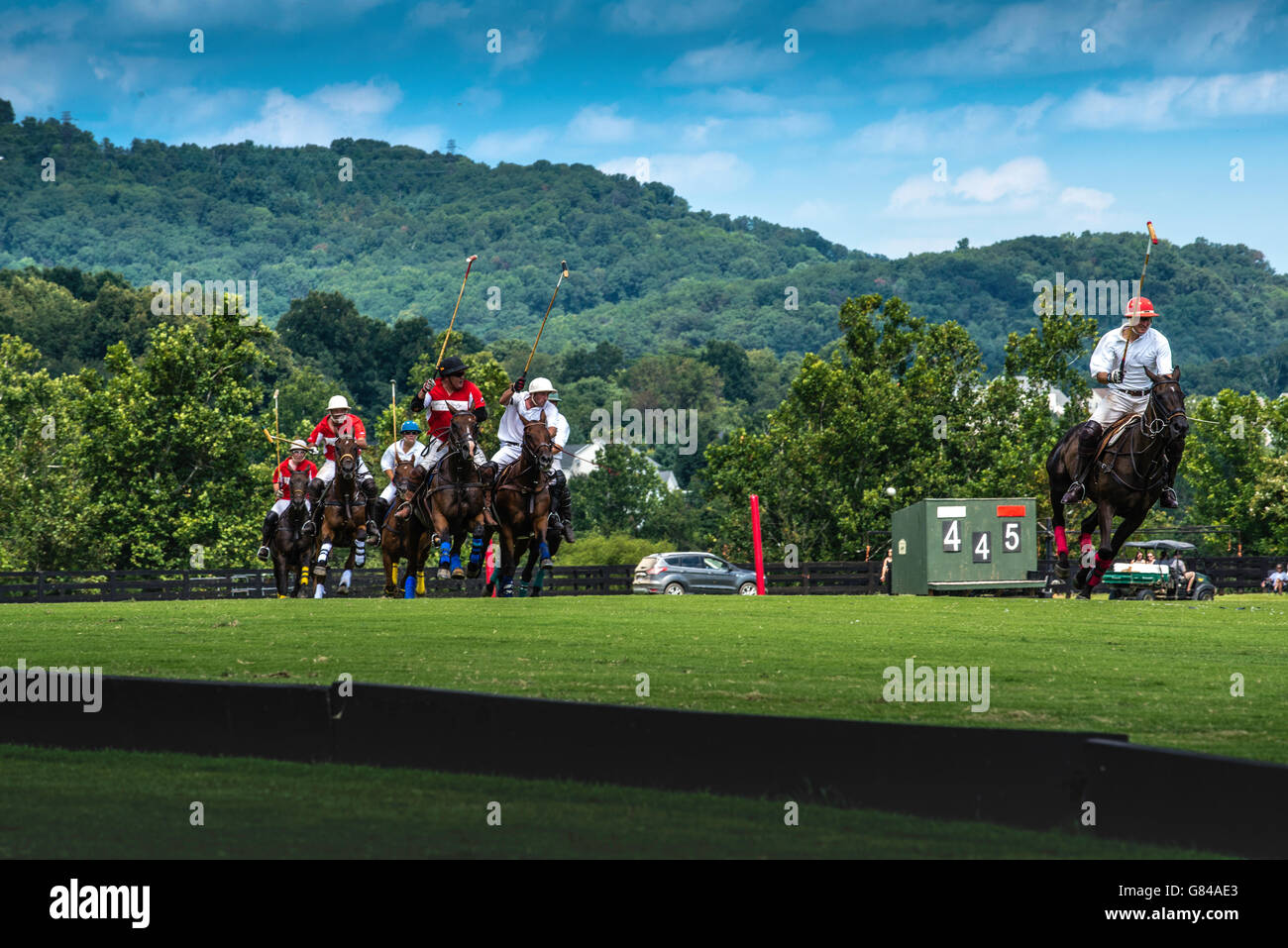 Polo ponies at Virginia chukker field Stock Photo - Alamy