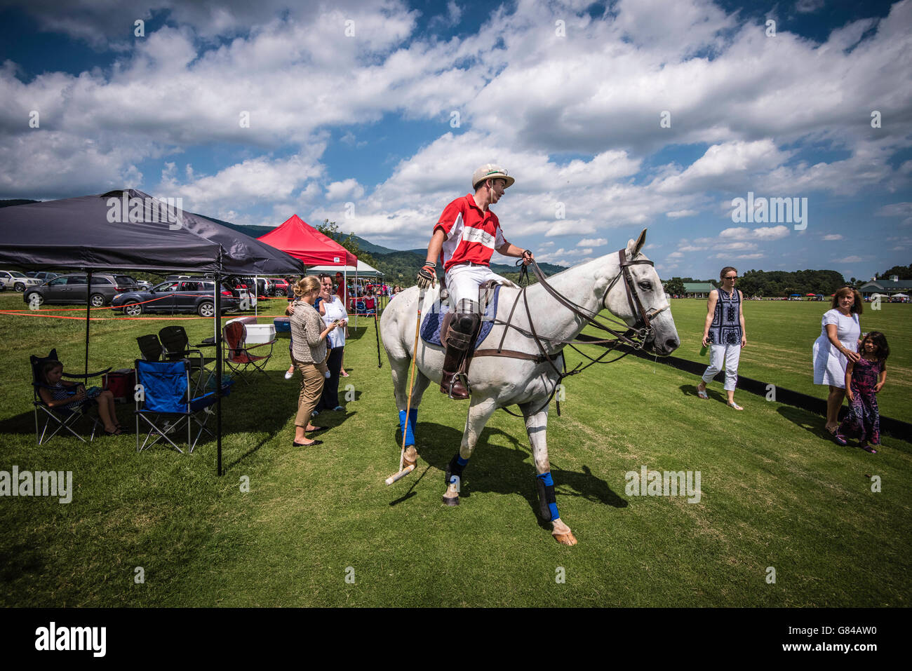 Polo ponies at Virginia chukker field Stock Photo - Alamy