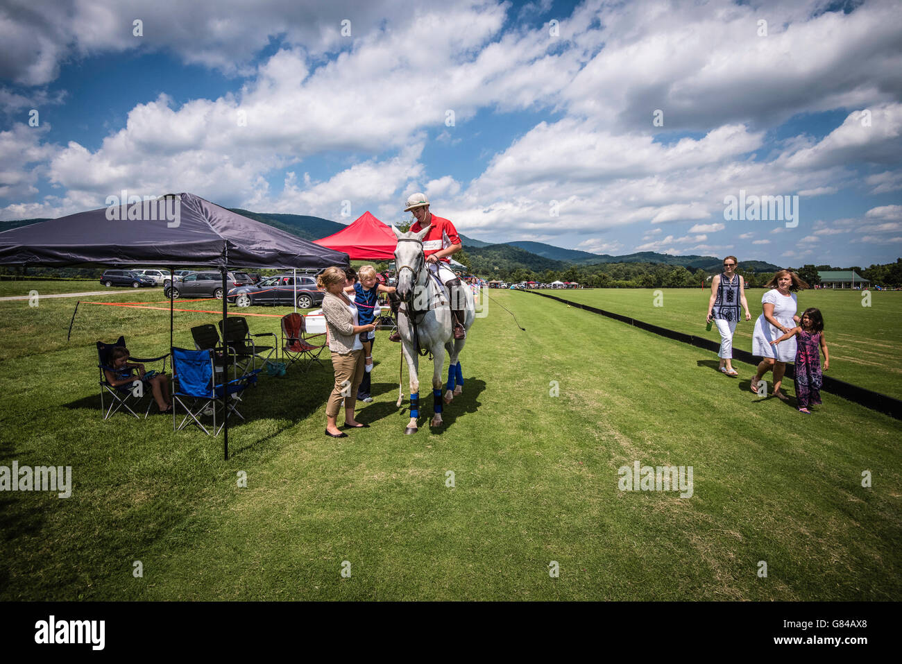 Polo ponies at Virginia chukker field Stock Photo - Alamy