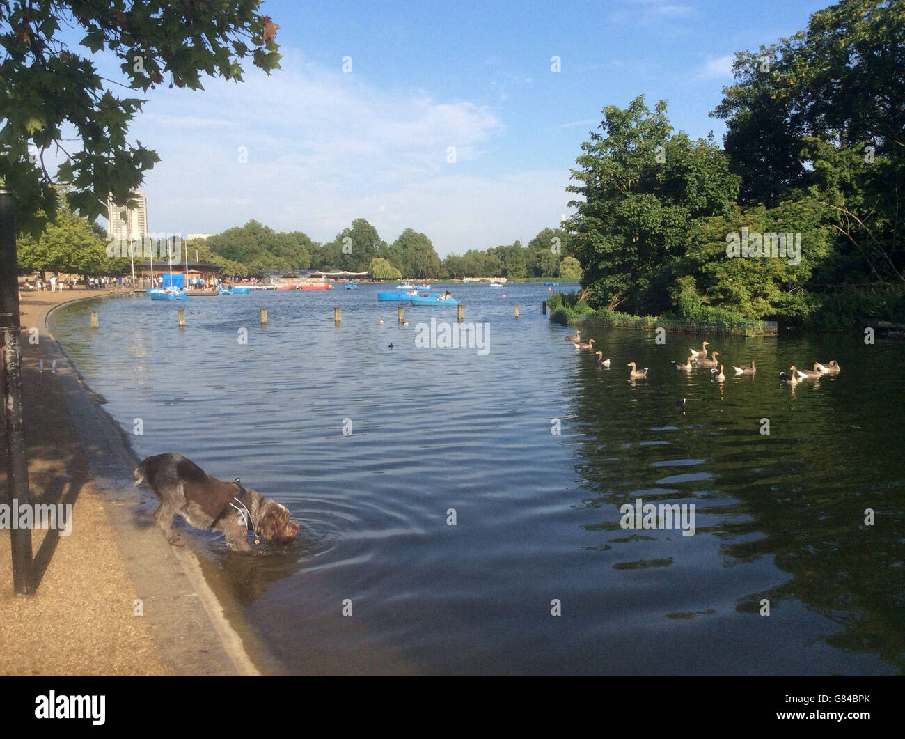 The Serpentine in London Hyde Park as Britain endures the hottest July ...