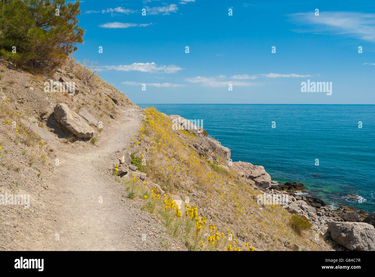 Koba tree hi-res stock photography and images - Alamy