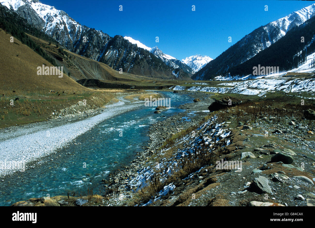 Sonmarg valley and Sind river, Kashmir, India Stock Photo - Alamy