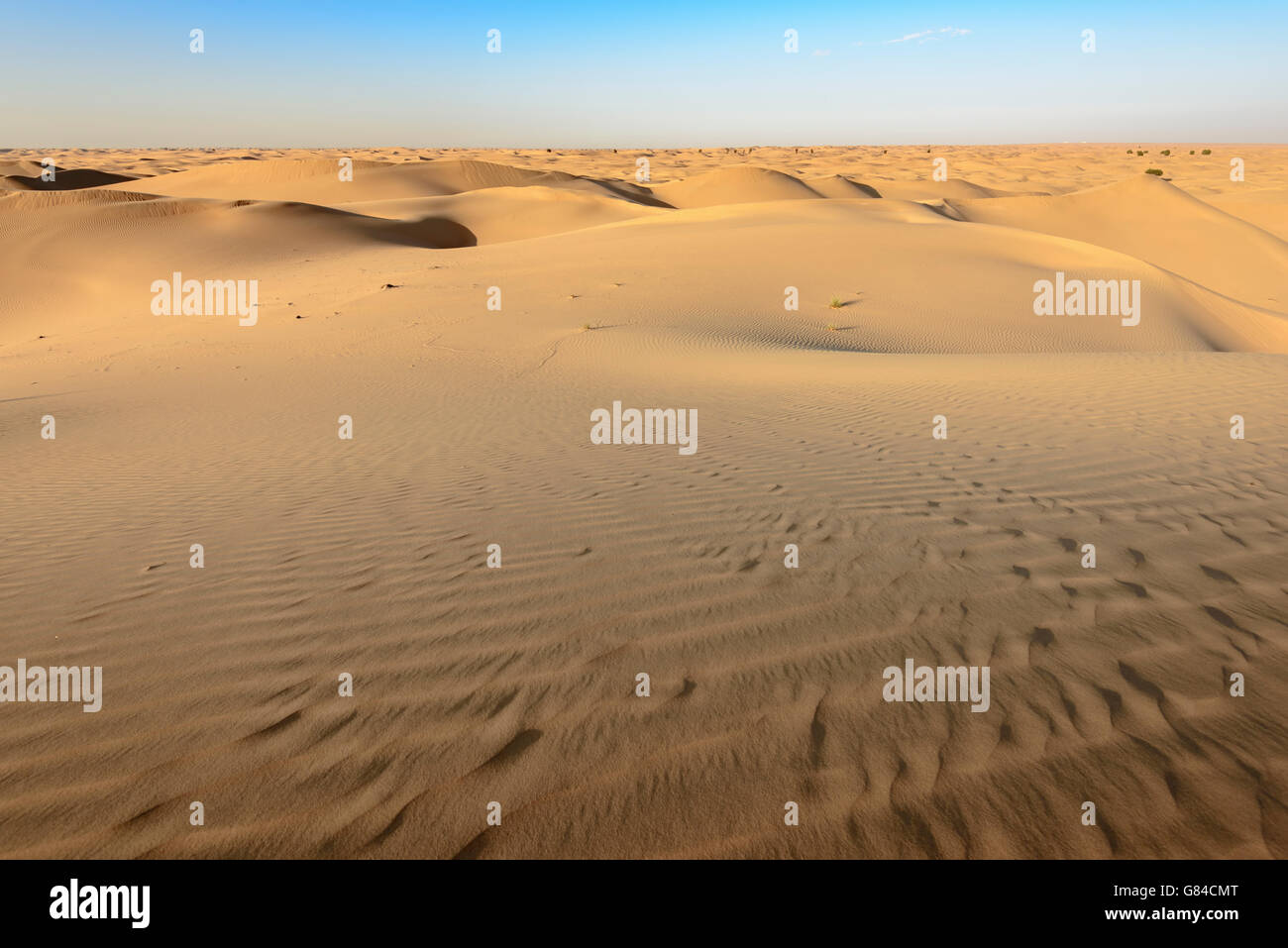 The beauty of the dunes in the desert of the United Arab Emirates with ...
