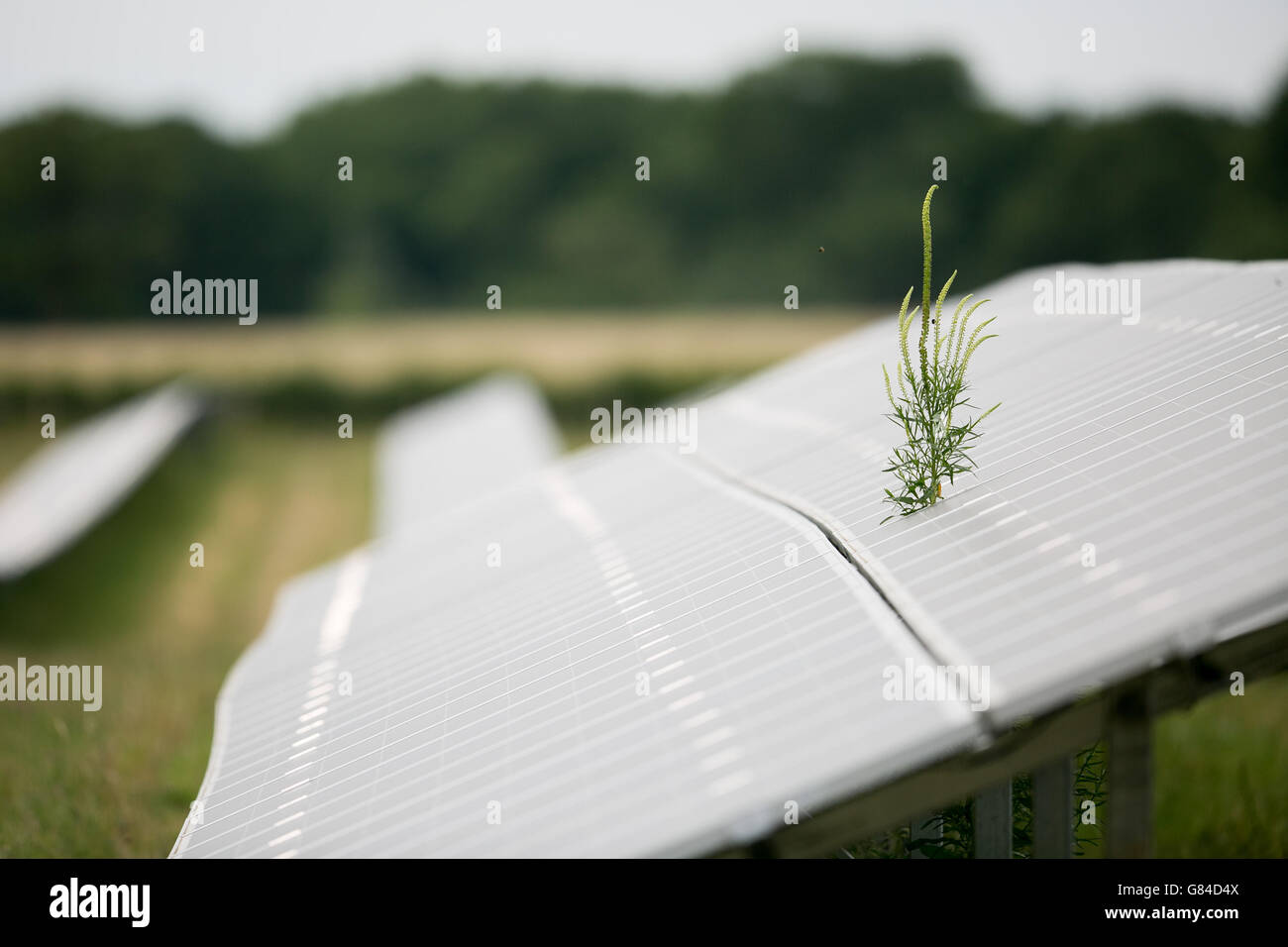 Solar Independence day Stock Photo - Alamy