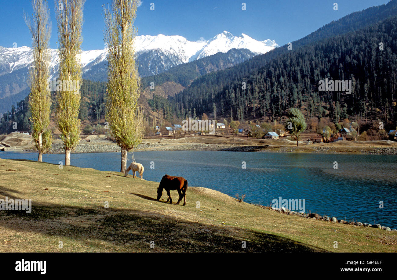 Sonmarg valley and Sind river, Kashmir, India Stock Photo - Alamy
